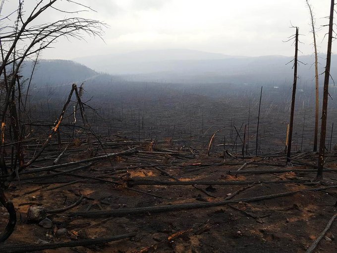 'Smoking materials' likely cause of Elephant Hill wildfire, says BC ...