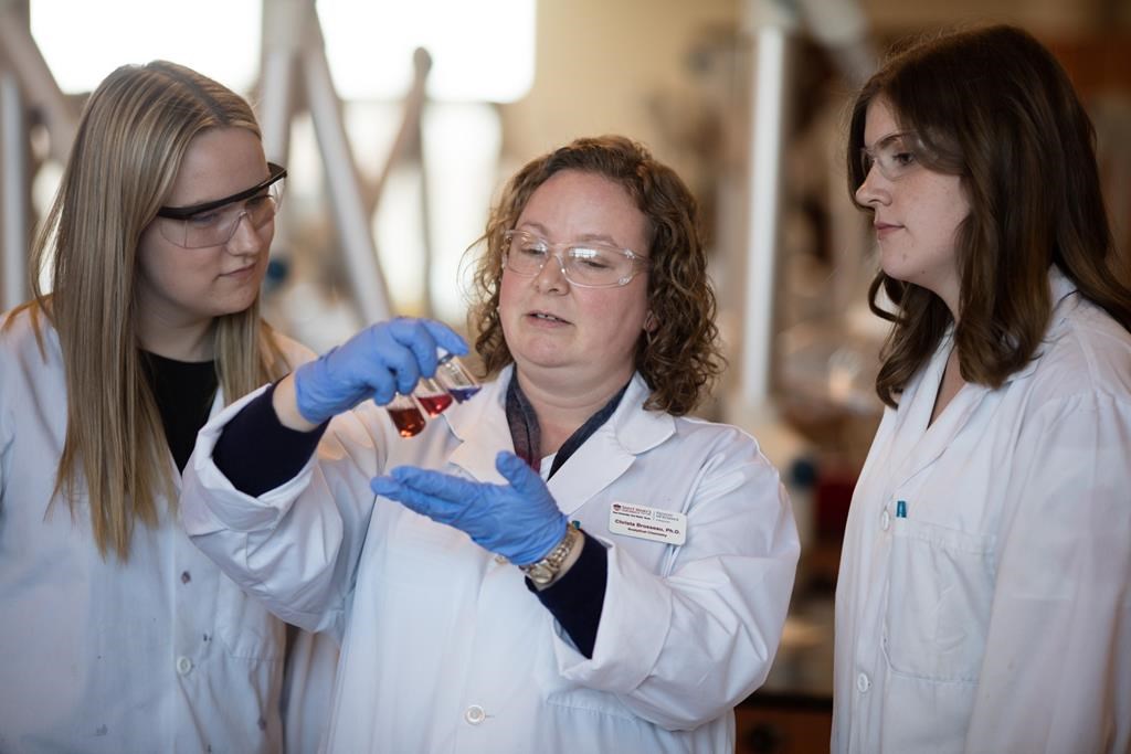 Nova Scotia chemists work with mill to create medical-grade pulp for ...