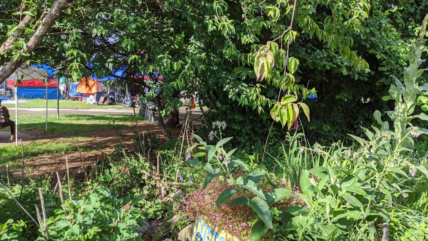 Community garden, growing tent city coexist peacefully in Strathcona ...