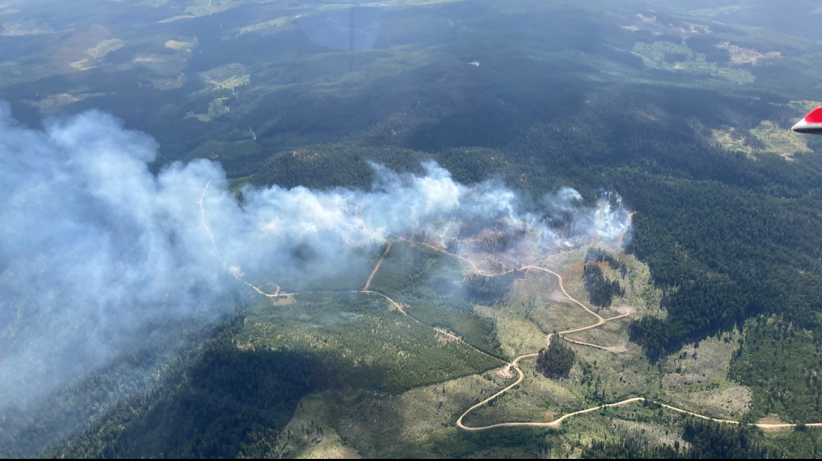 Wildfire near Princeton puts dozens on evacuation alert | CityNews ...