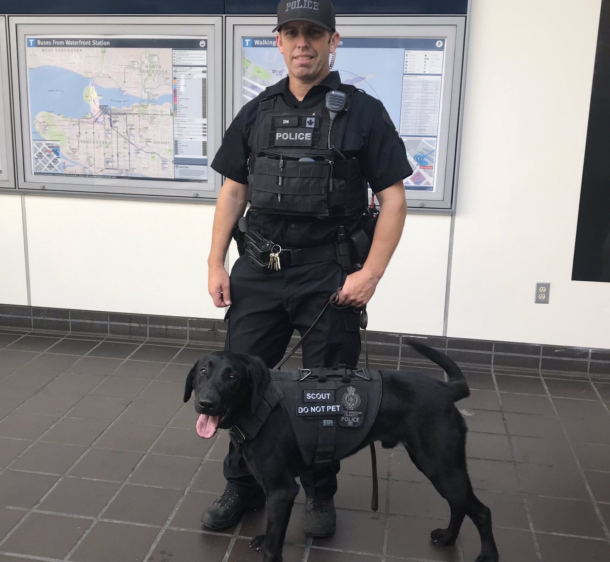 Transit police ask riders not to pet pooches during pandemic | CityNews ...
