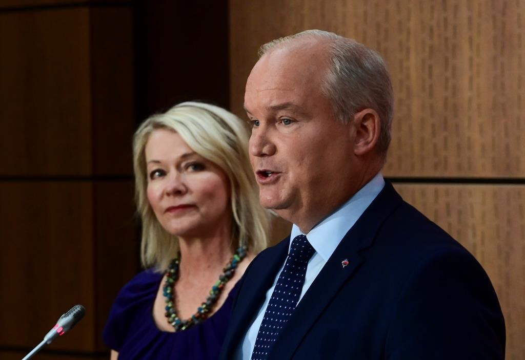 Tories choose Manitoba MP Candice Bergen as interim leader after ...