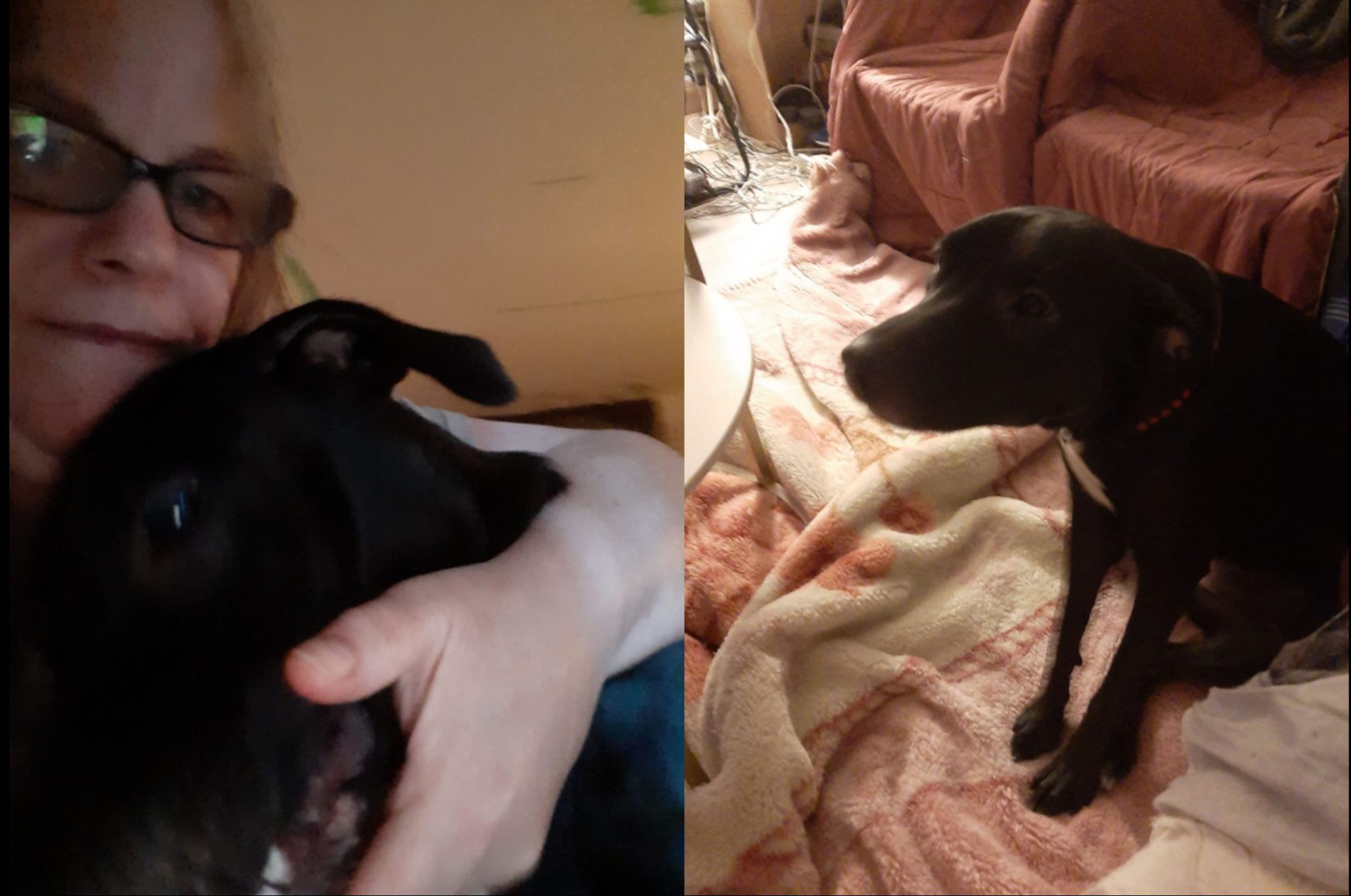 New West woman facing homelessness hoping to reunite with surrendered dog