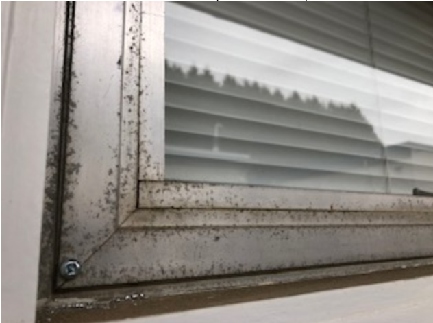 Abbotsford school windows bolted shut, union raising COVID-19 safety ...