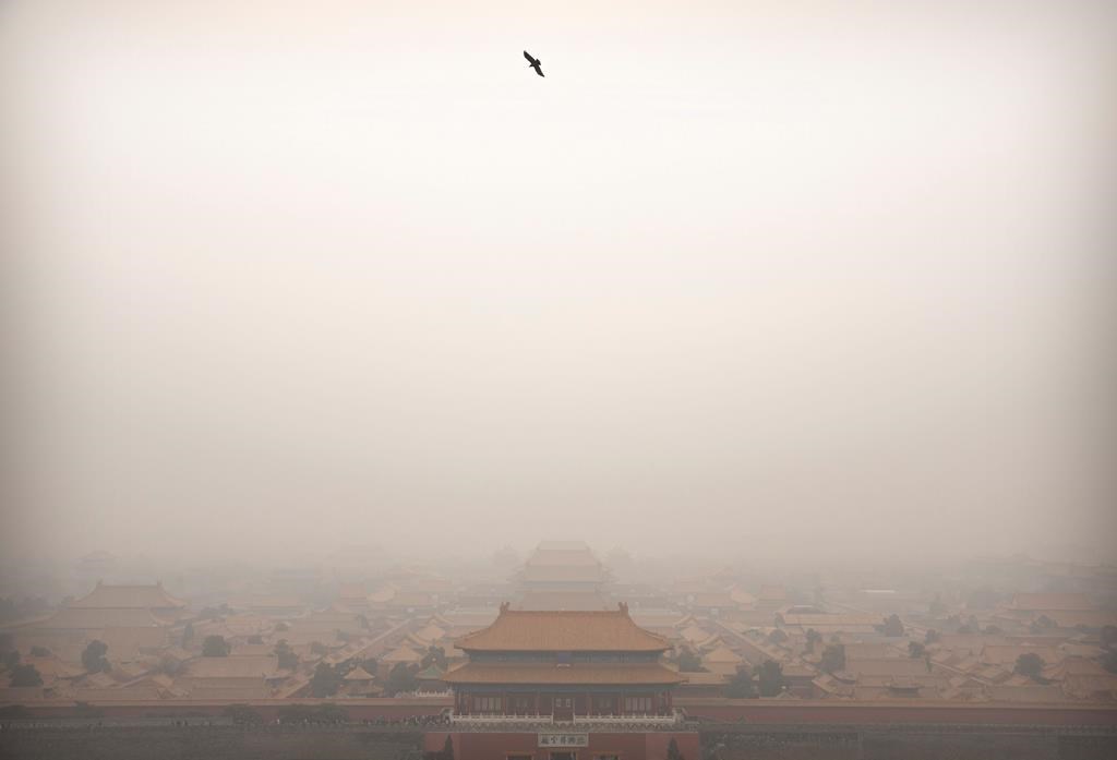 China sets moderate new energy goals for climate change | CityNews ...