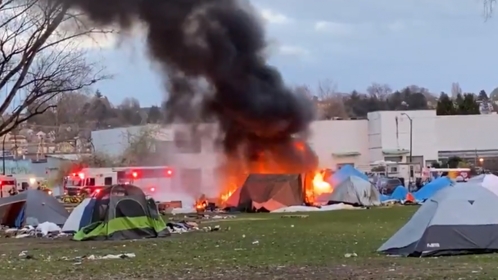 Fire breaks out in Vancouver's Strathcona Park; third in two weeks ...