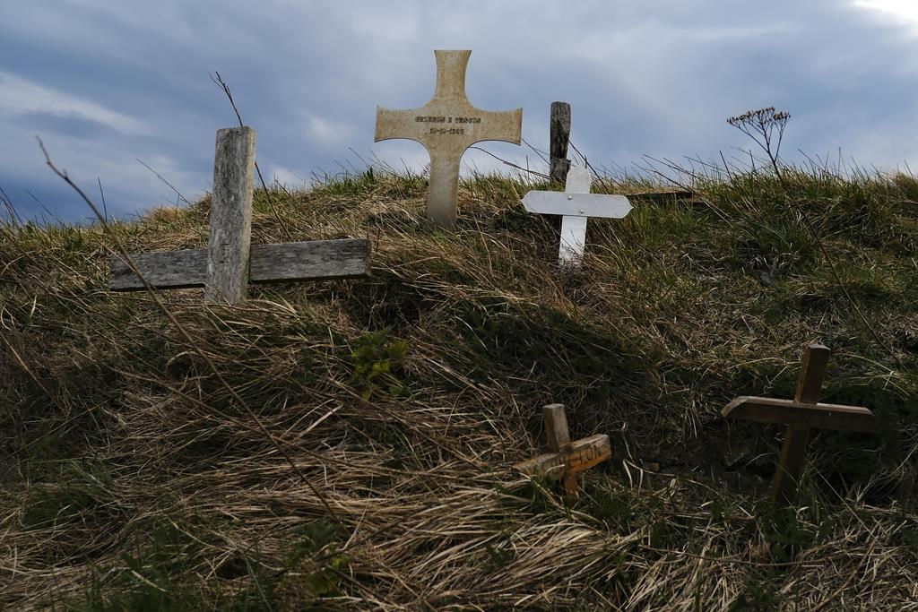 Pilgrims return to Spain’s 'El Camino' paths after pandemic | CityNews ...
