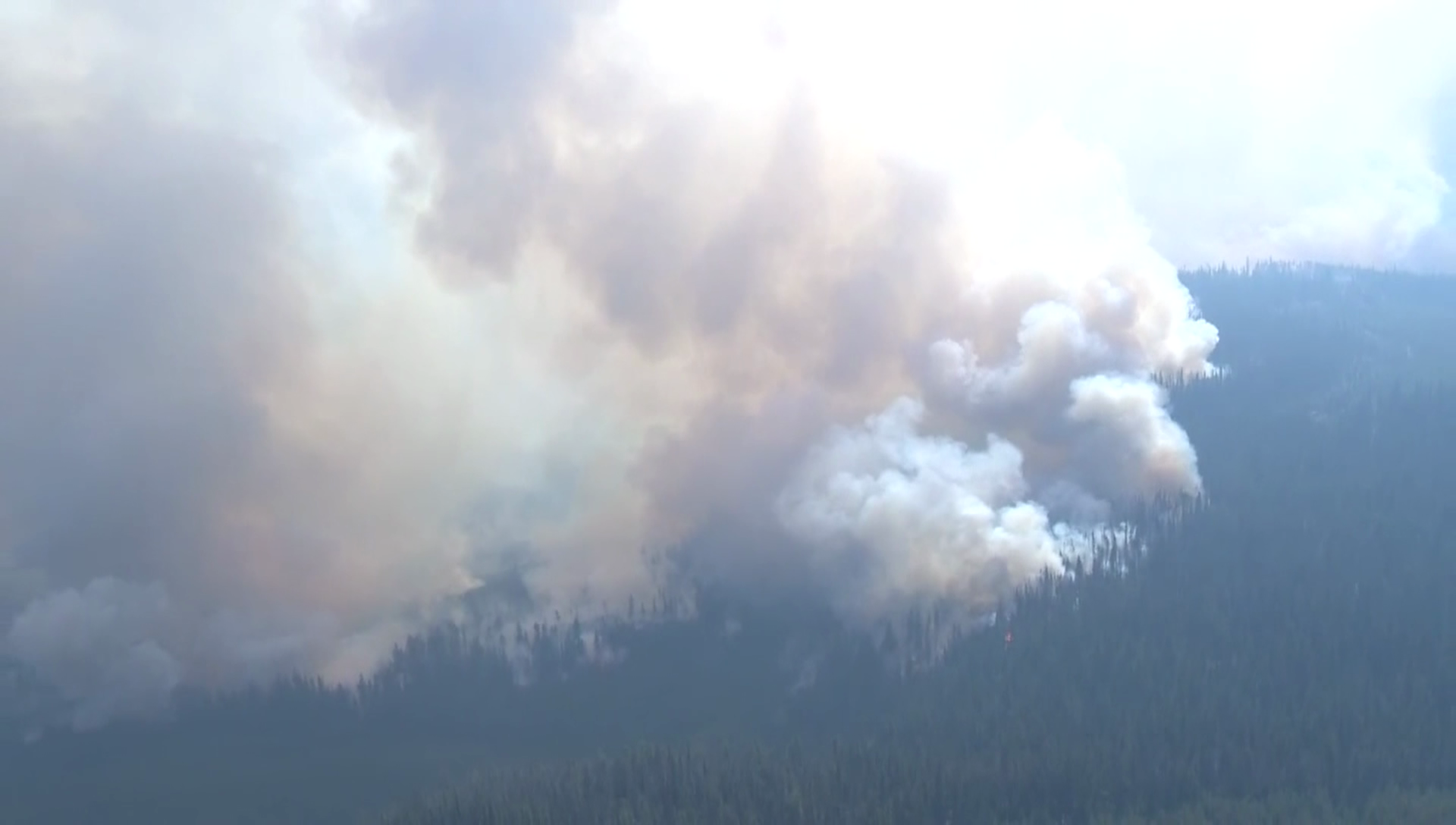 B.C. wildfires: Travel warning issued for Interior, aggressive growth ...