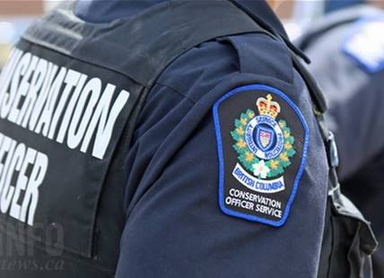 BC Conservation Service unique calls 2022 | CityNews Vancouver