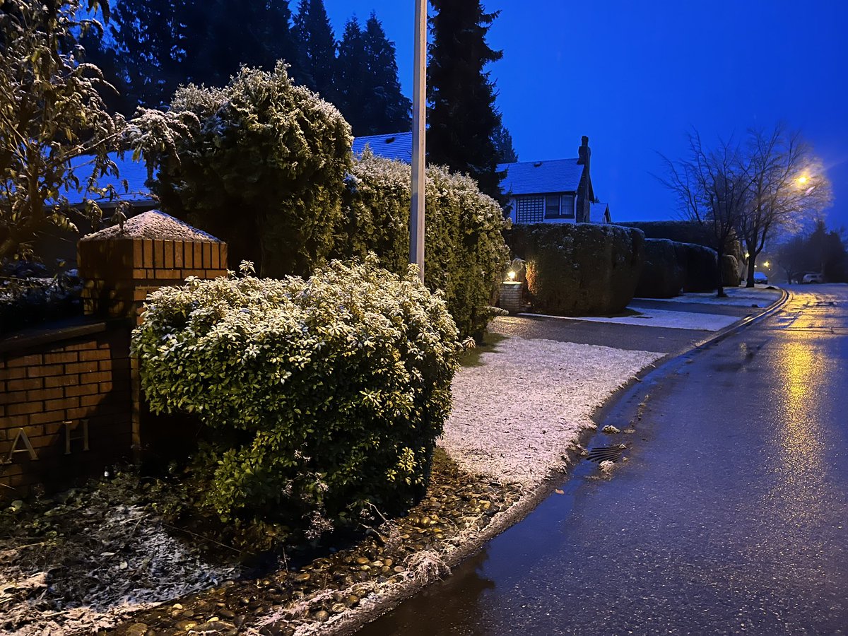 Season's first snowfall covering Lower Mainland Saturday | CityNews ...