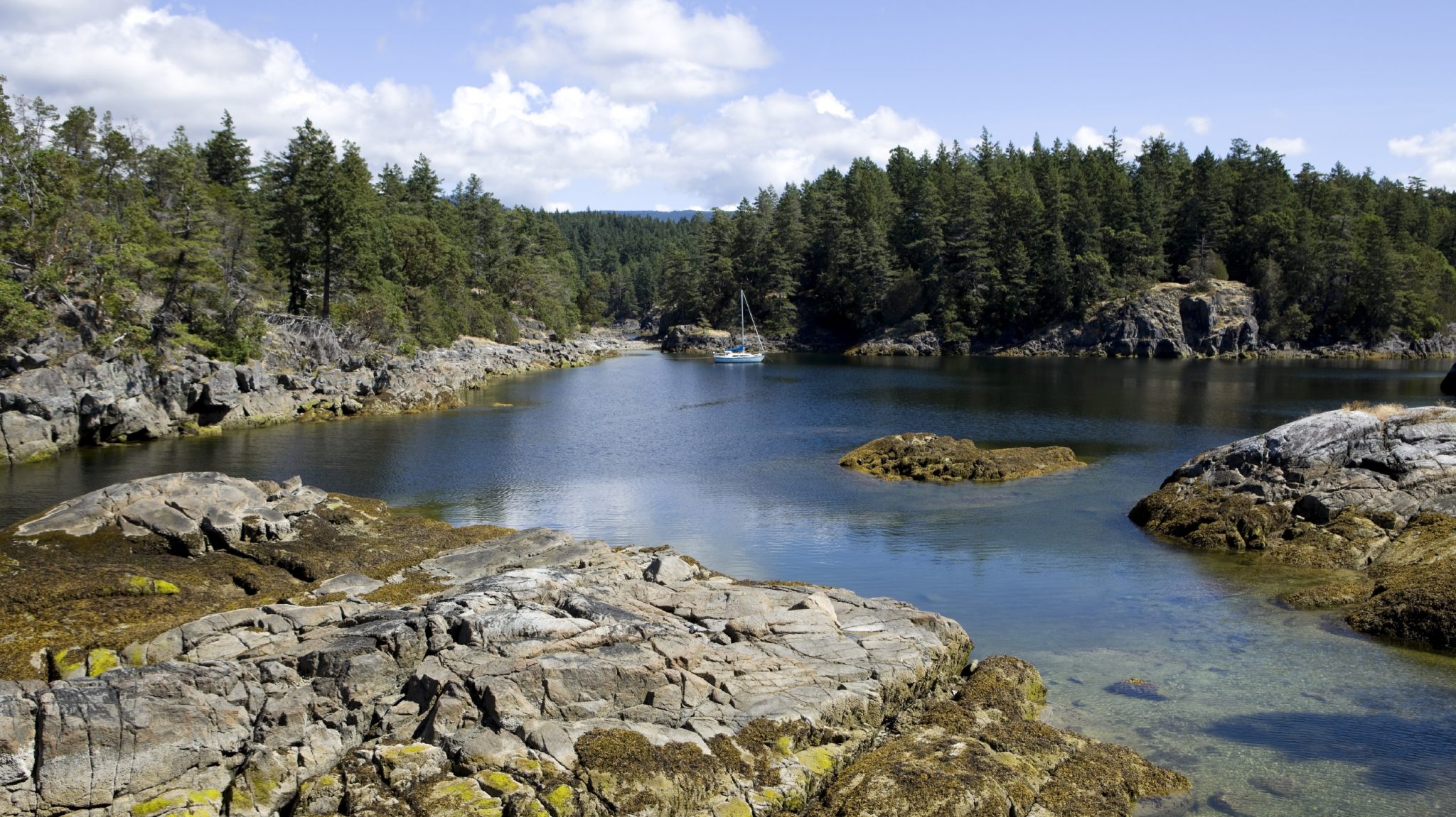 Sunshine Coast: drought hits water supply | CityNews Vancouver