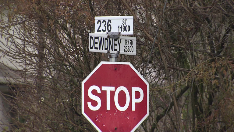 Maple Ridge shooting hurts woman: RCMP | CityNews Vancouver