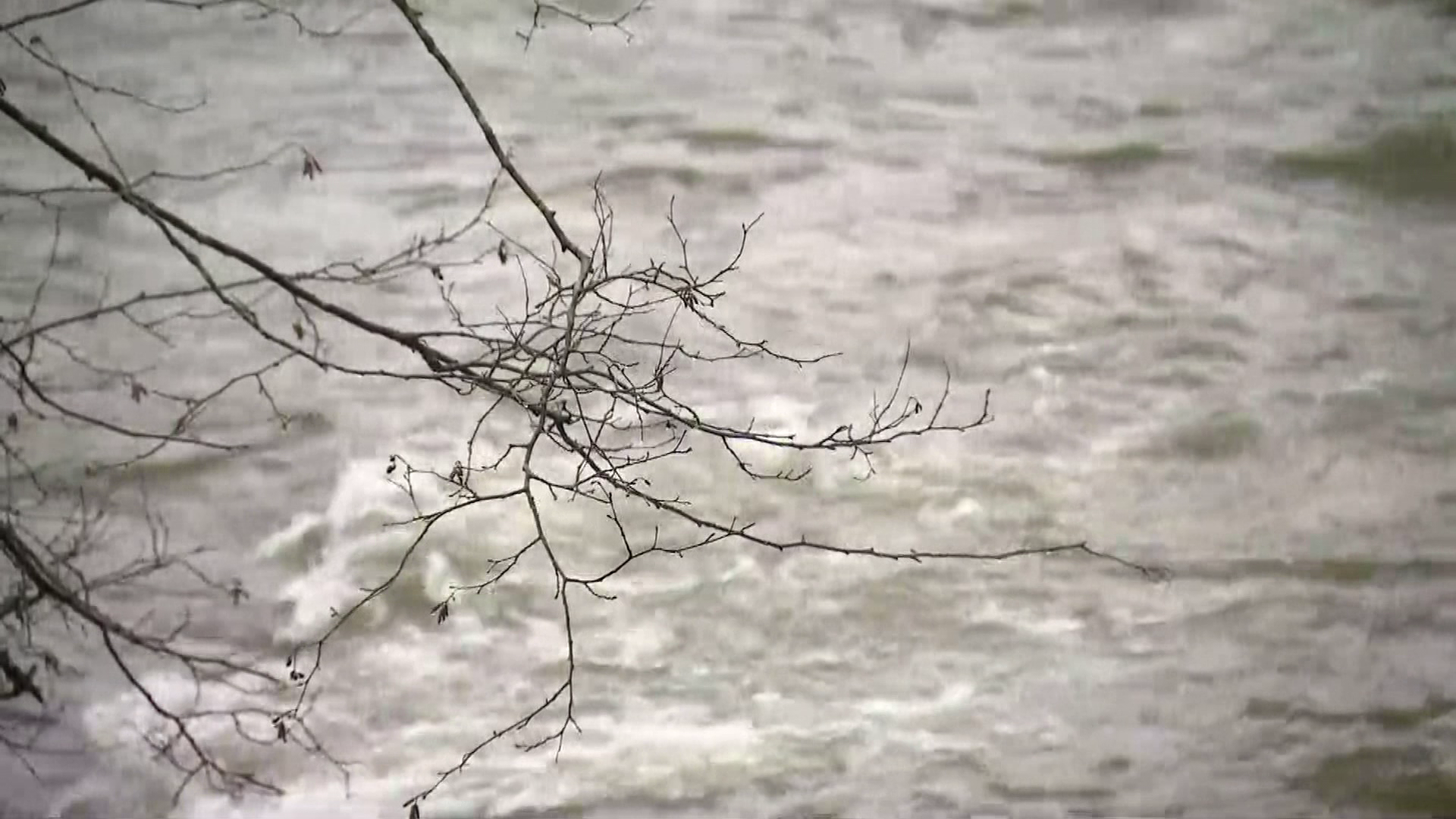 BC rivers under high streamflow warning | CityNews Vancouver