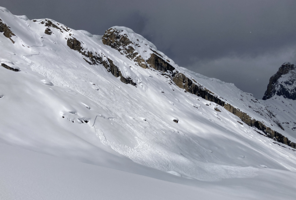 Snowmobiler dead after Radium Hot Springs, B.C. avalanche | CityNews ...