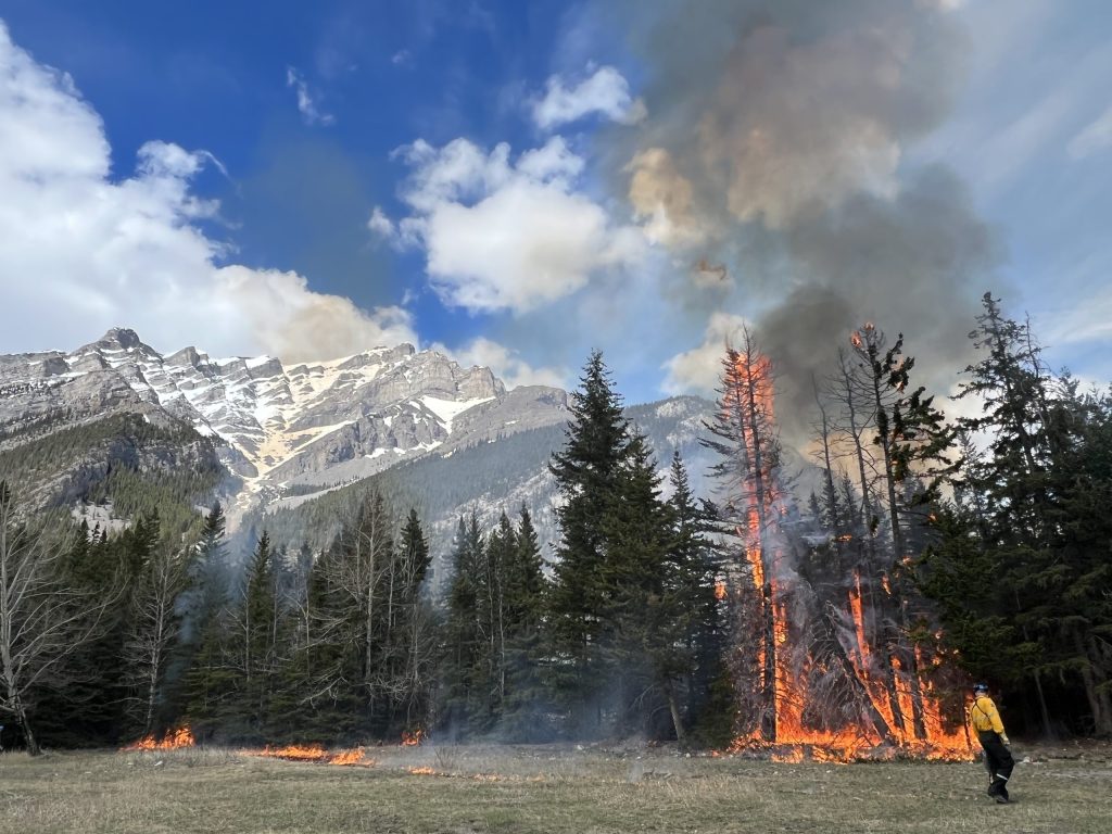 Fire near Banff 'held' as of Wednesday night | CityNews Vancouver