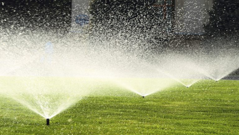 Metro Vancouver lawn watering rules for summer 2024