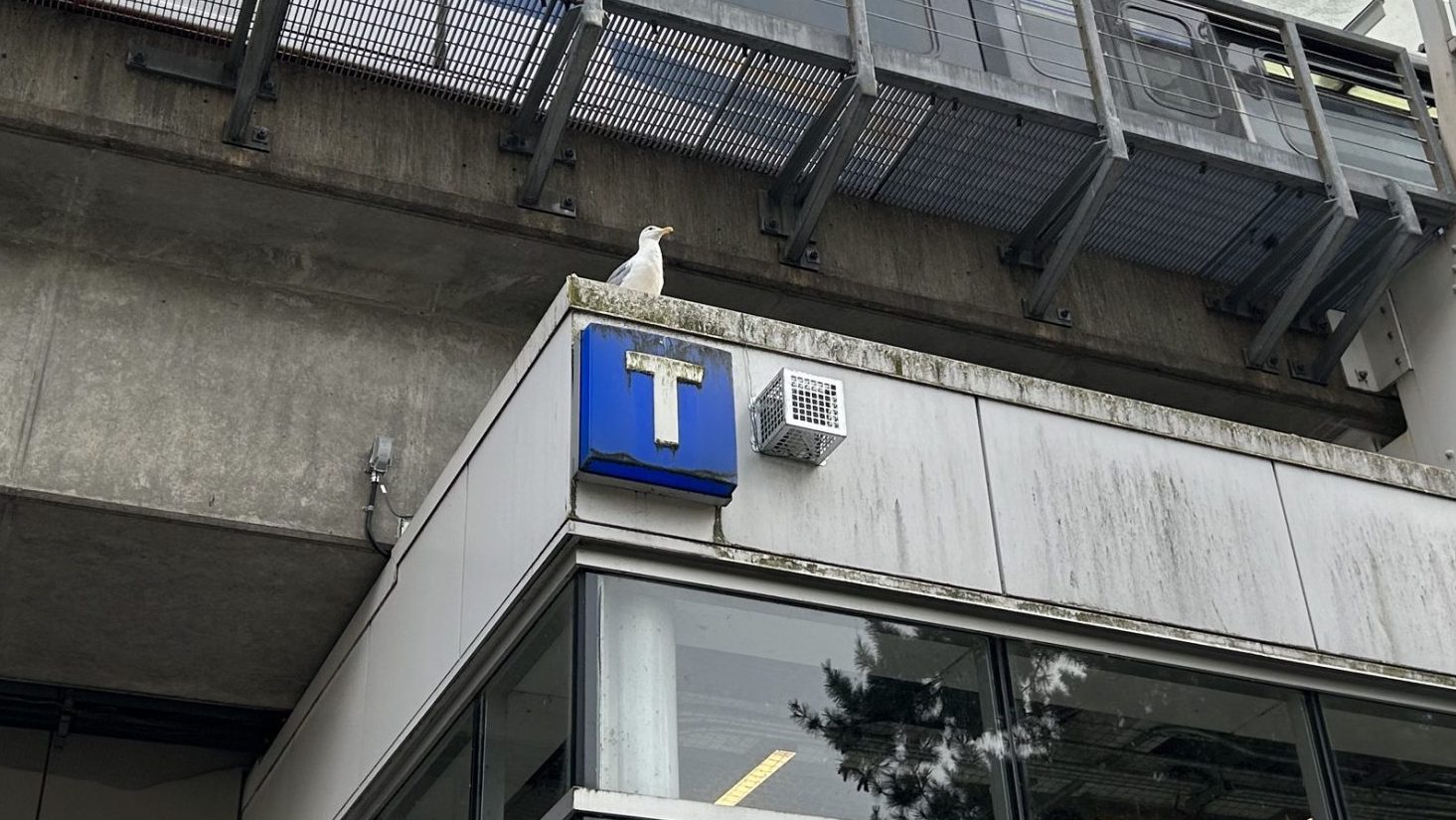 SkyTrain station alarm near Thornton Park | CityNews Vancouver