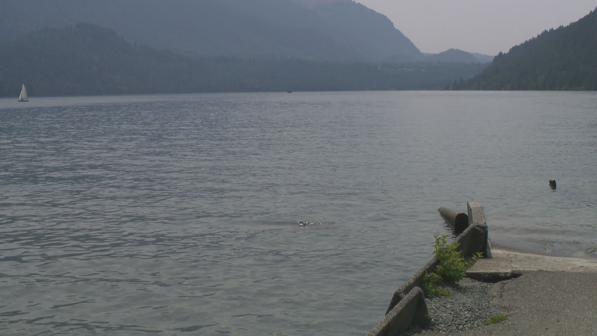 Ambulances called to Cultus Lake Saturday evening