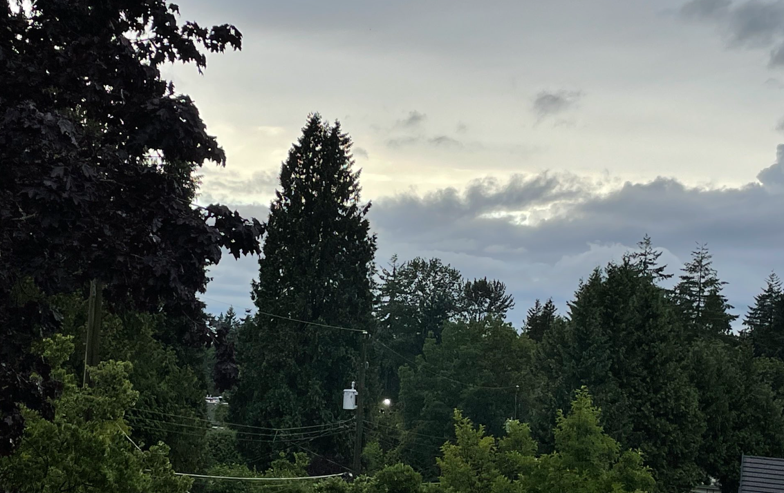 Metro Vancouver rain brings some relief - CityNews Vancouver