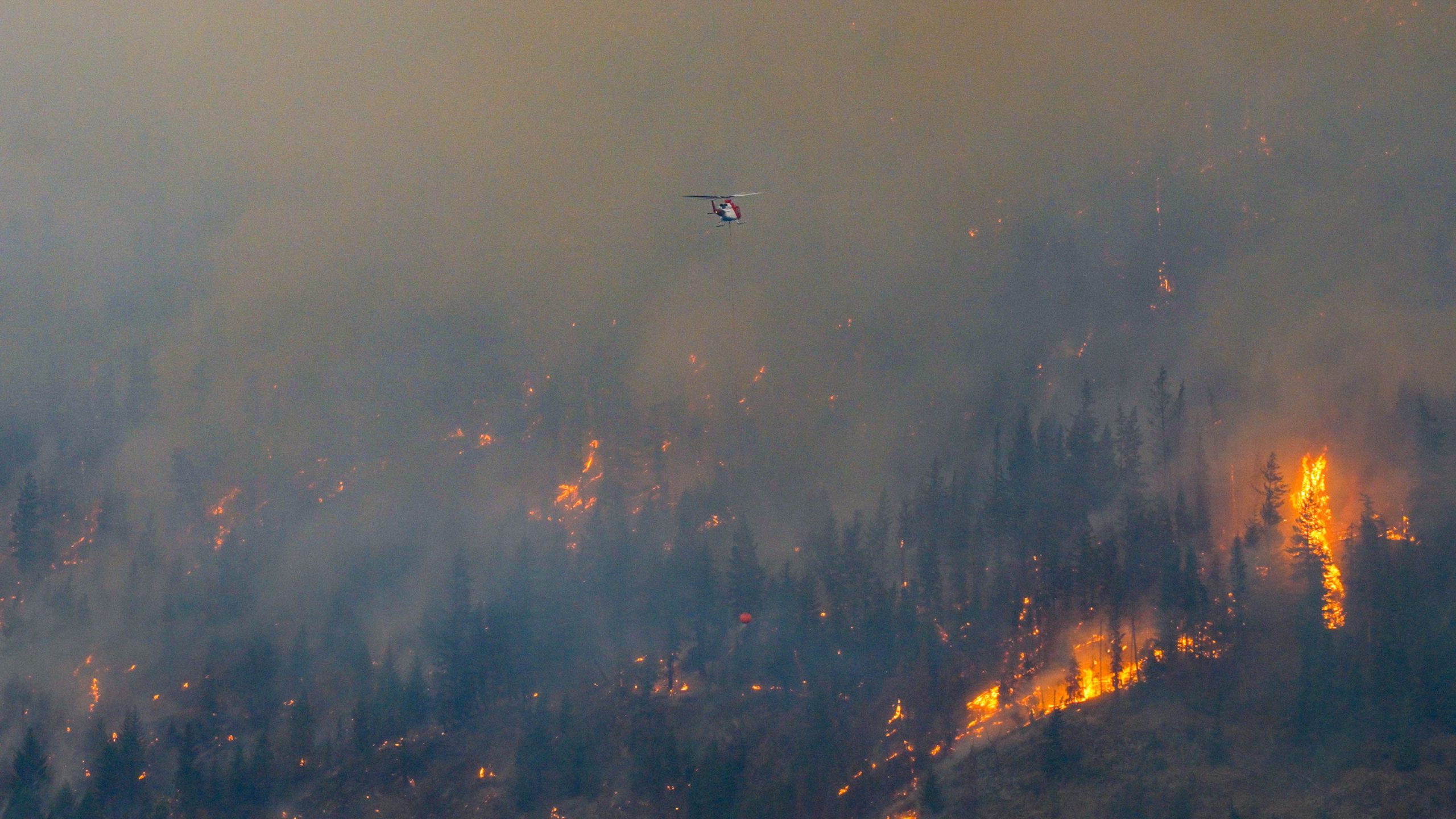 BC wildfire danger increasing later this week | CityNews Vancouver