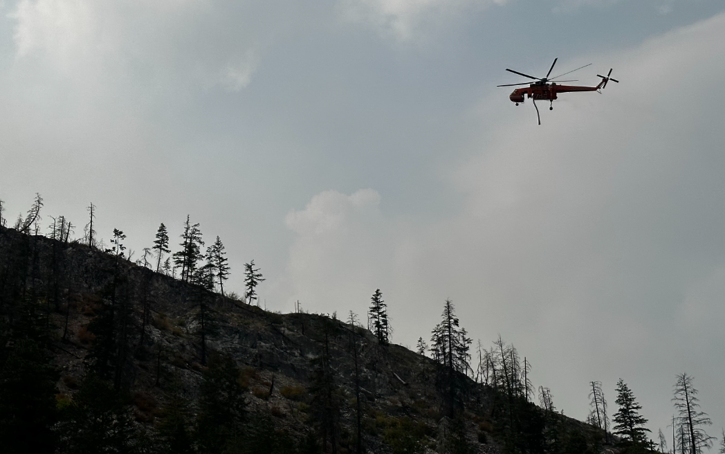 B.C. wildfire situation worsens in the north | CityNews Vancouver