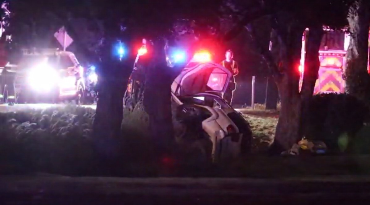 Surrey, Delta hit and runs, man charged | CityNews Vancouver