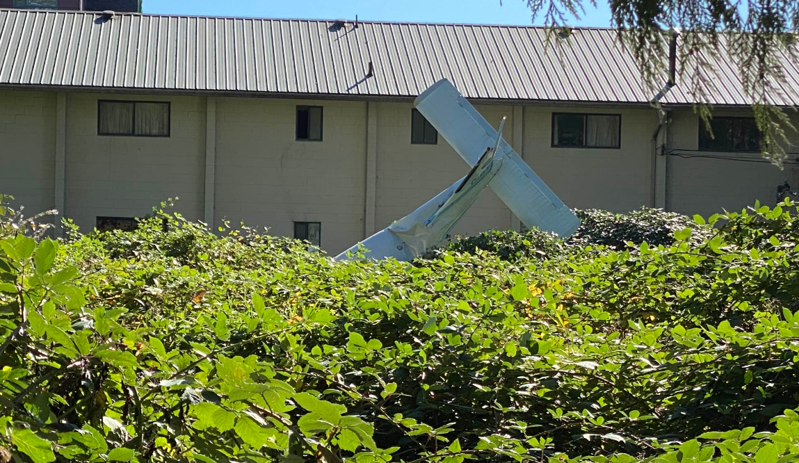 2 Chilliwack plane crash victims identified | CityNews Vancouver