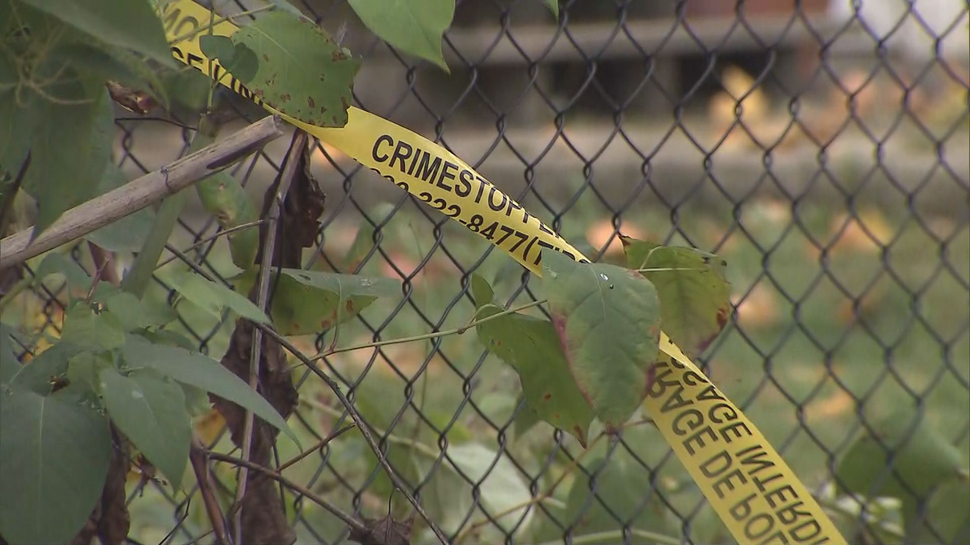 Langley explosion: Homicide team responds | CityNews Vancouver