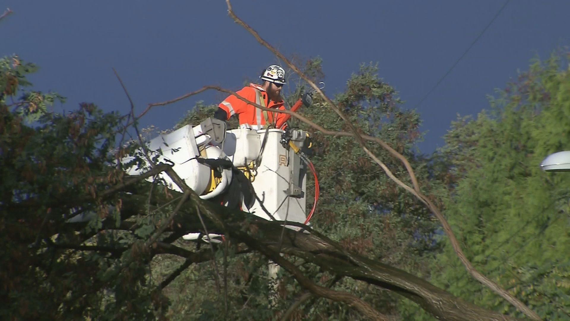 BC Hydro warns of more power outages - CityNews Vancouver