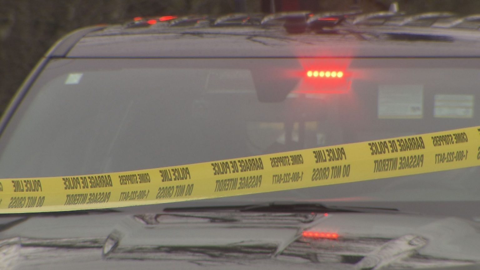 Maple Ridge shooting shuts Dewdney Trunk | CityNews Vancouver