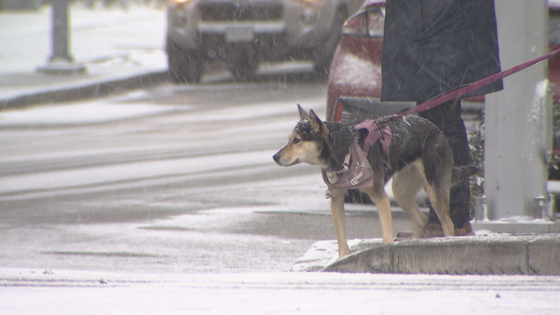 Metro Vancouver to see snow, freezing rain | CityNews Vancouver