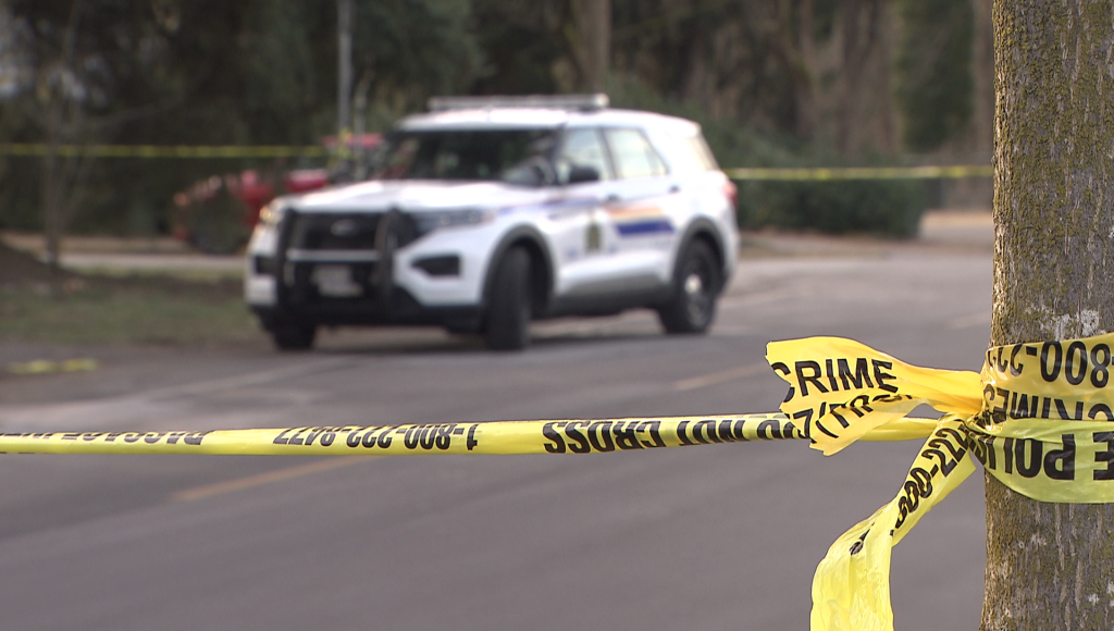 Maple Ridge shooting leaves 1 person hurt | CityNews Vancouver