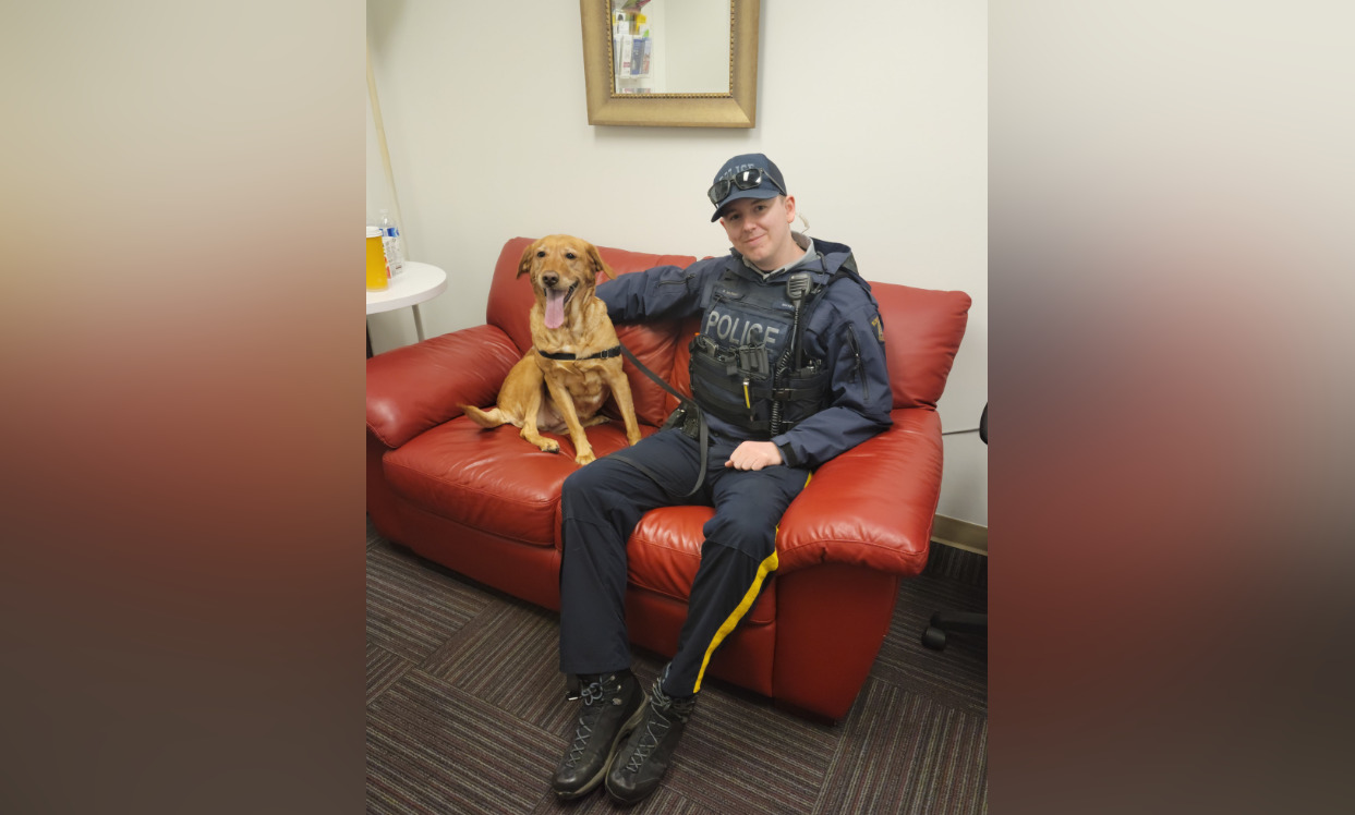 North Van RCMP issues reminder to pet owners