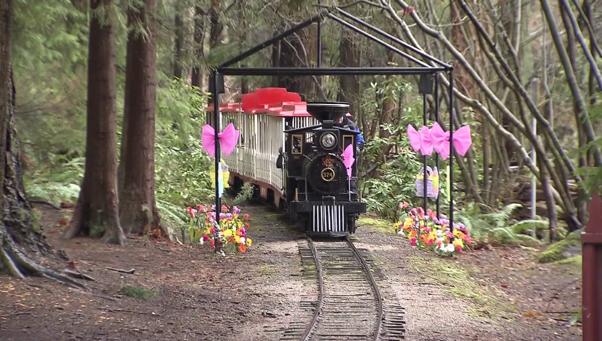 Vancouver council amends Stanley Park Train accessibility motion