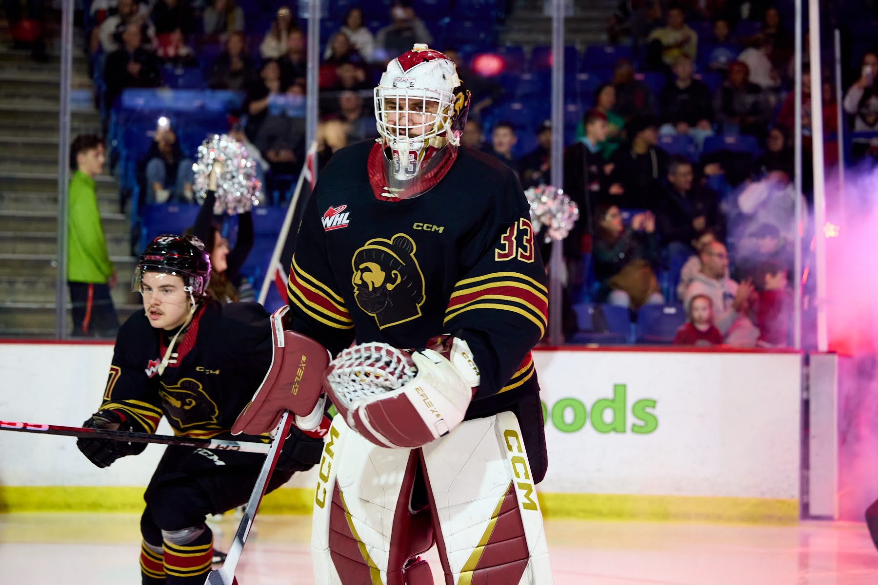 Vancouver Giants' Brett Mirwald up for WHL Goaltender of the Year