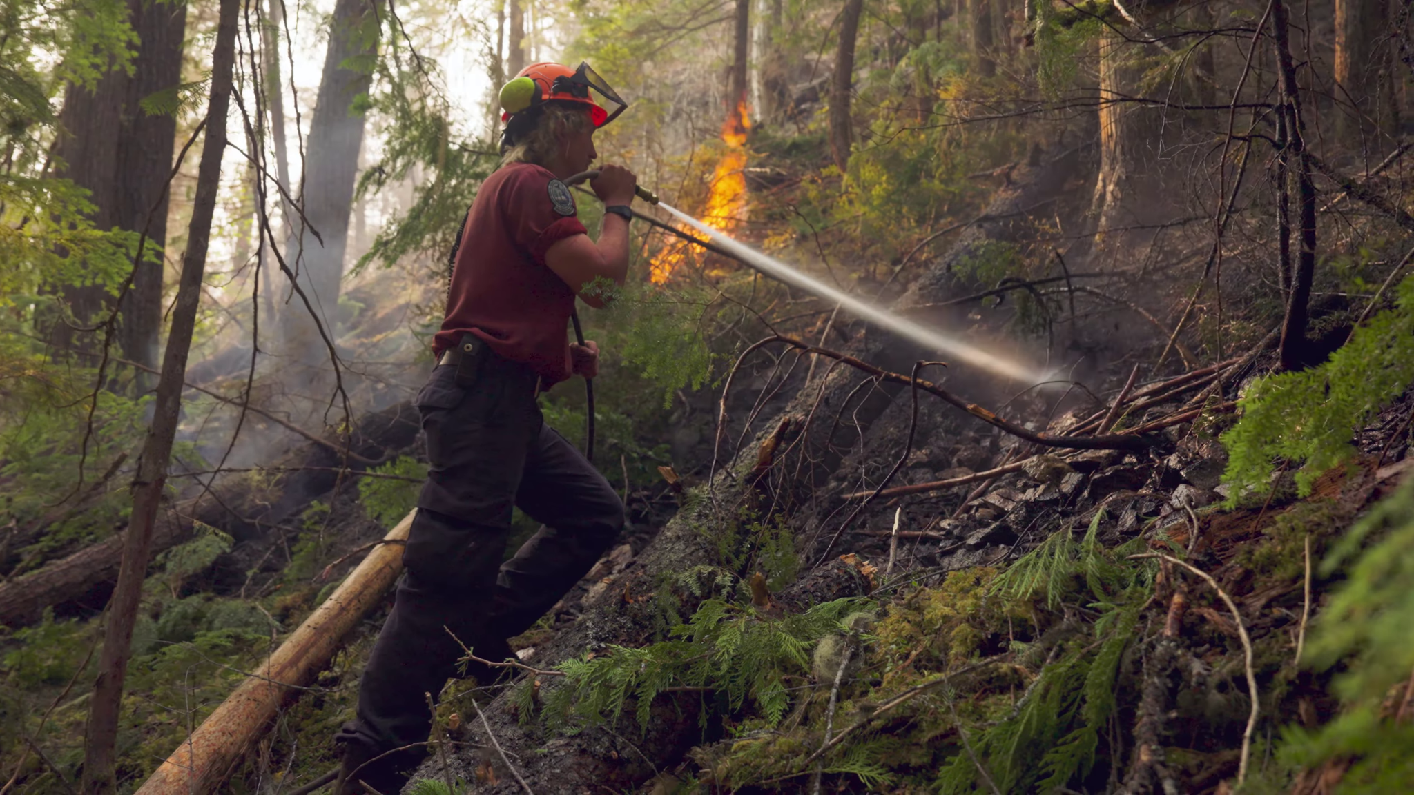 BC Wildfire Service defines 'wildfire'