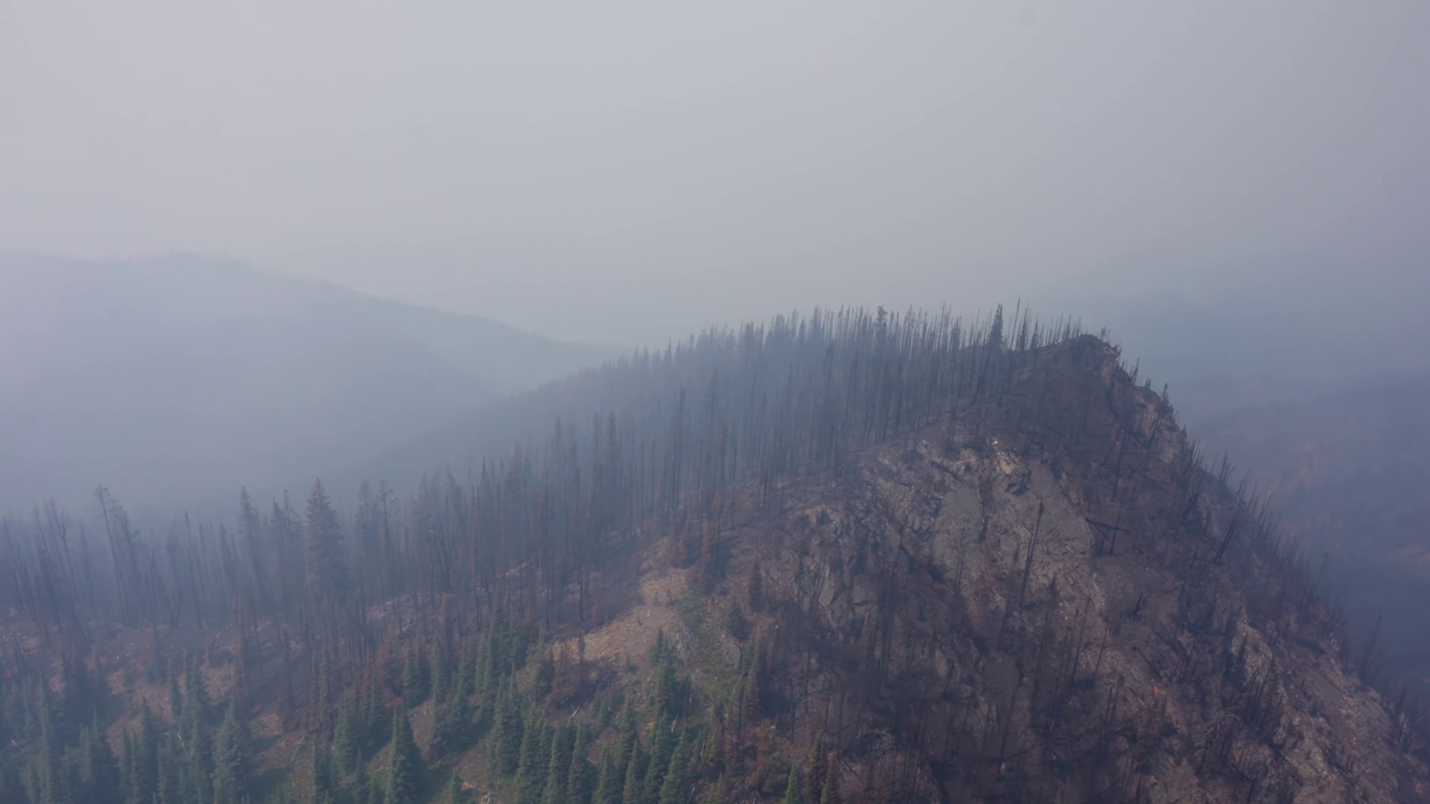 Wildfires: Properties north of Quesnel are under an evacuation order