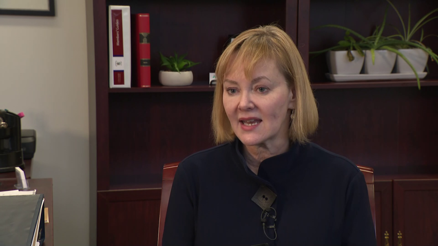 BC United MLA for West Vancouver-Capilano to run as independent