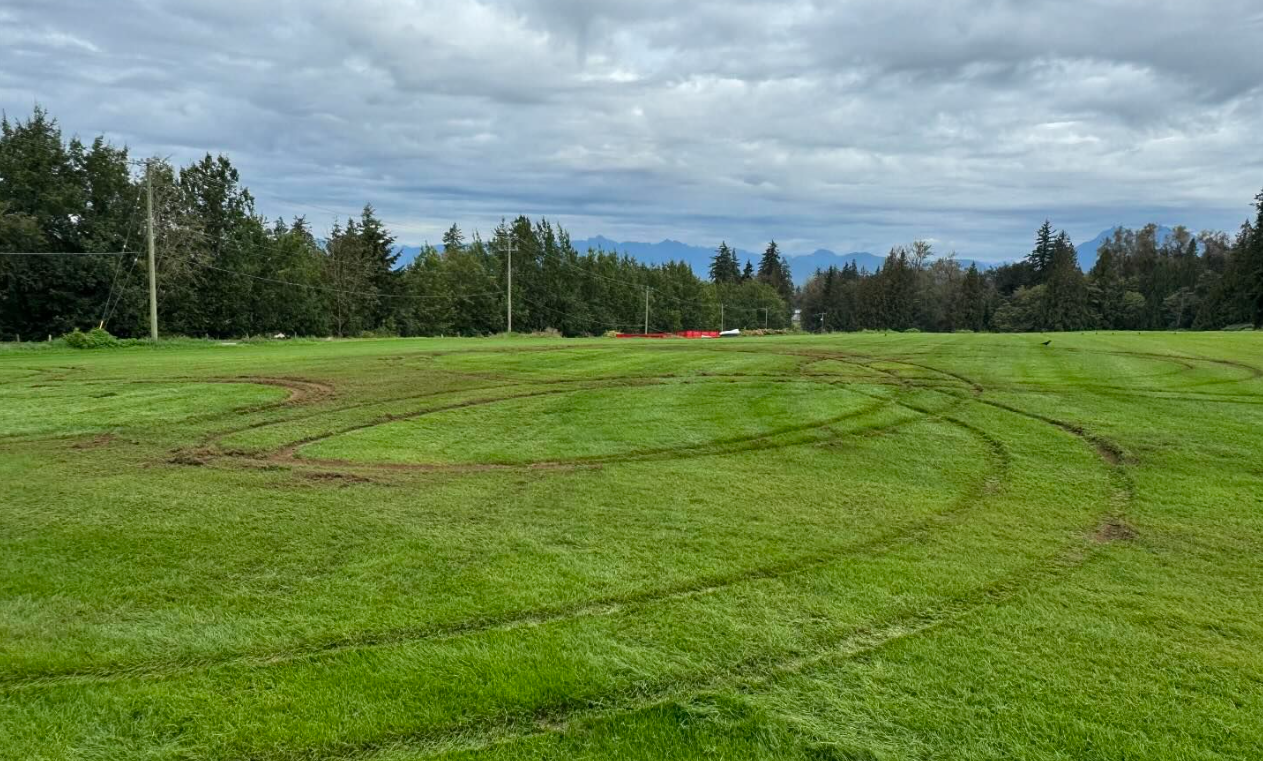 Vandals target Langley turf company