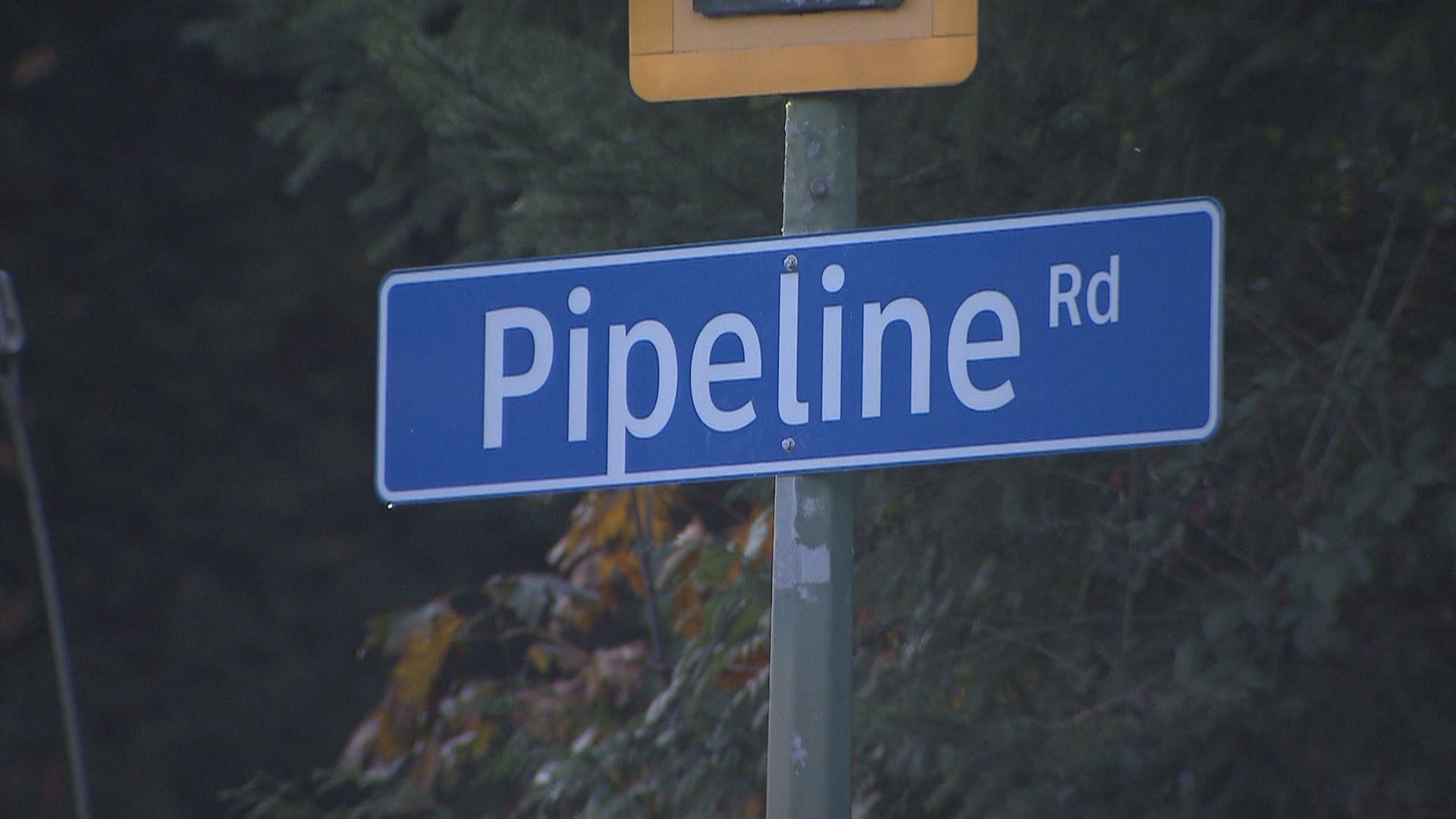 'Doesn't feel real': Family searches for Coquitlam man believed swept ...