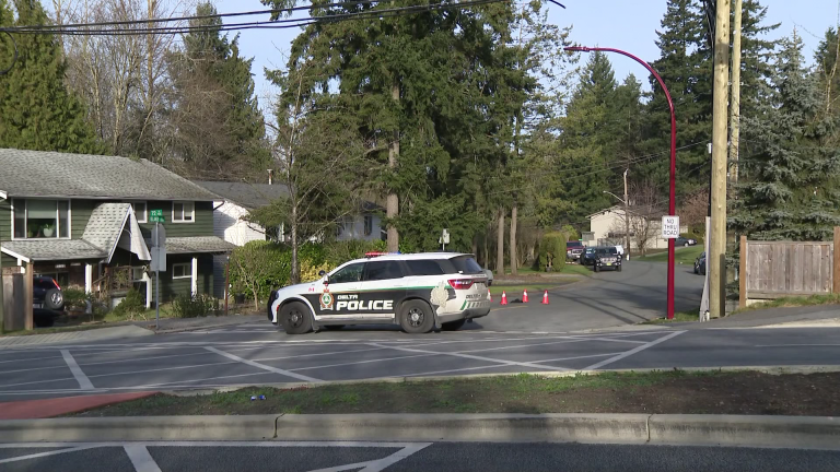 Delta shooting leaves one person hospitalized: Police
