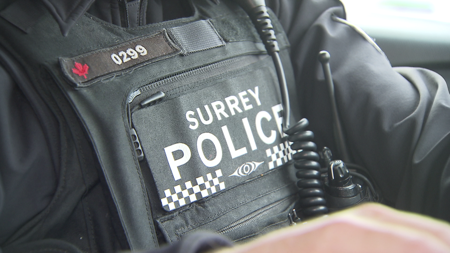 Family of missing Maple Ridge woman to hold vigil after human remains found