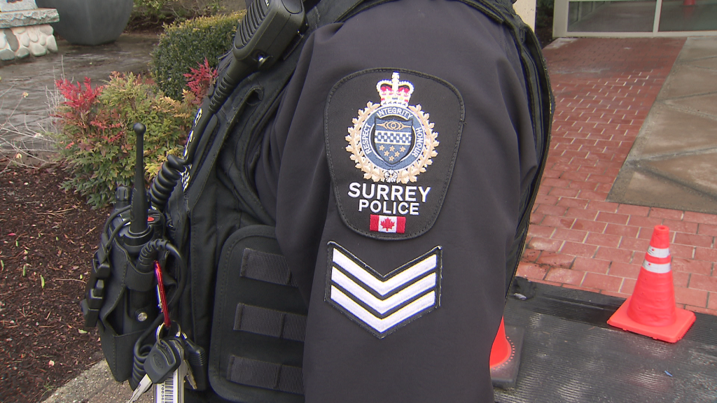New Surrey school, addition coming