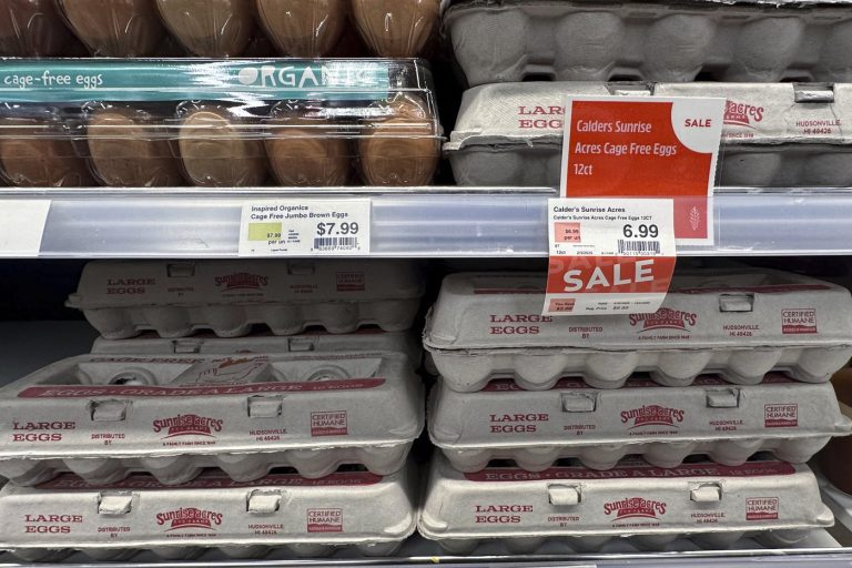 Canadian egg prices stable as U.S. cracks record highs