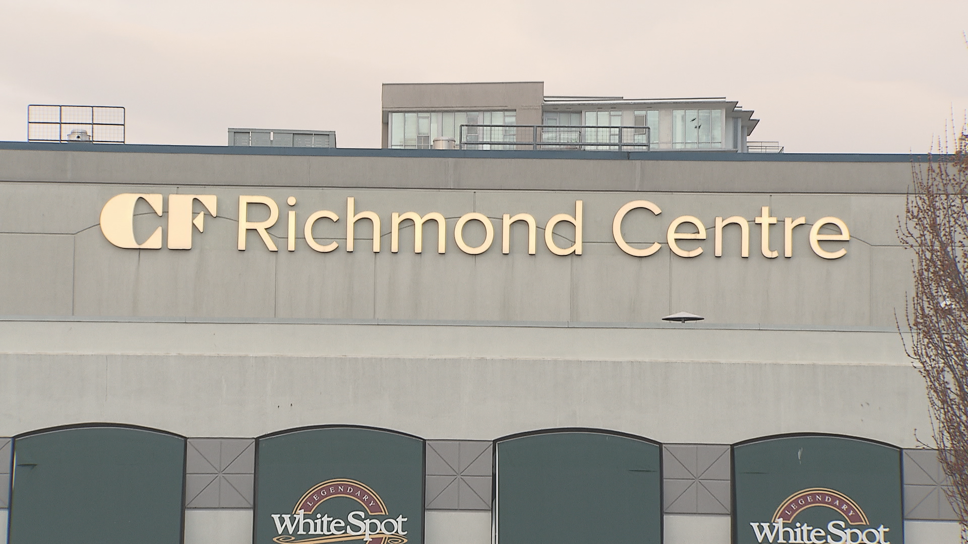 Richmond RCMP arrests suspect in alleged assault