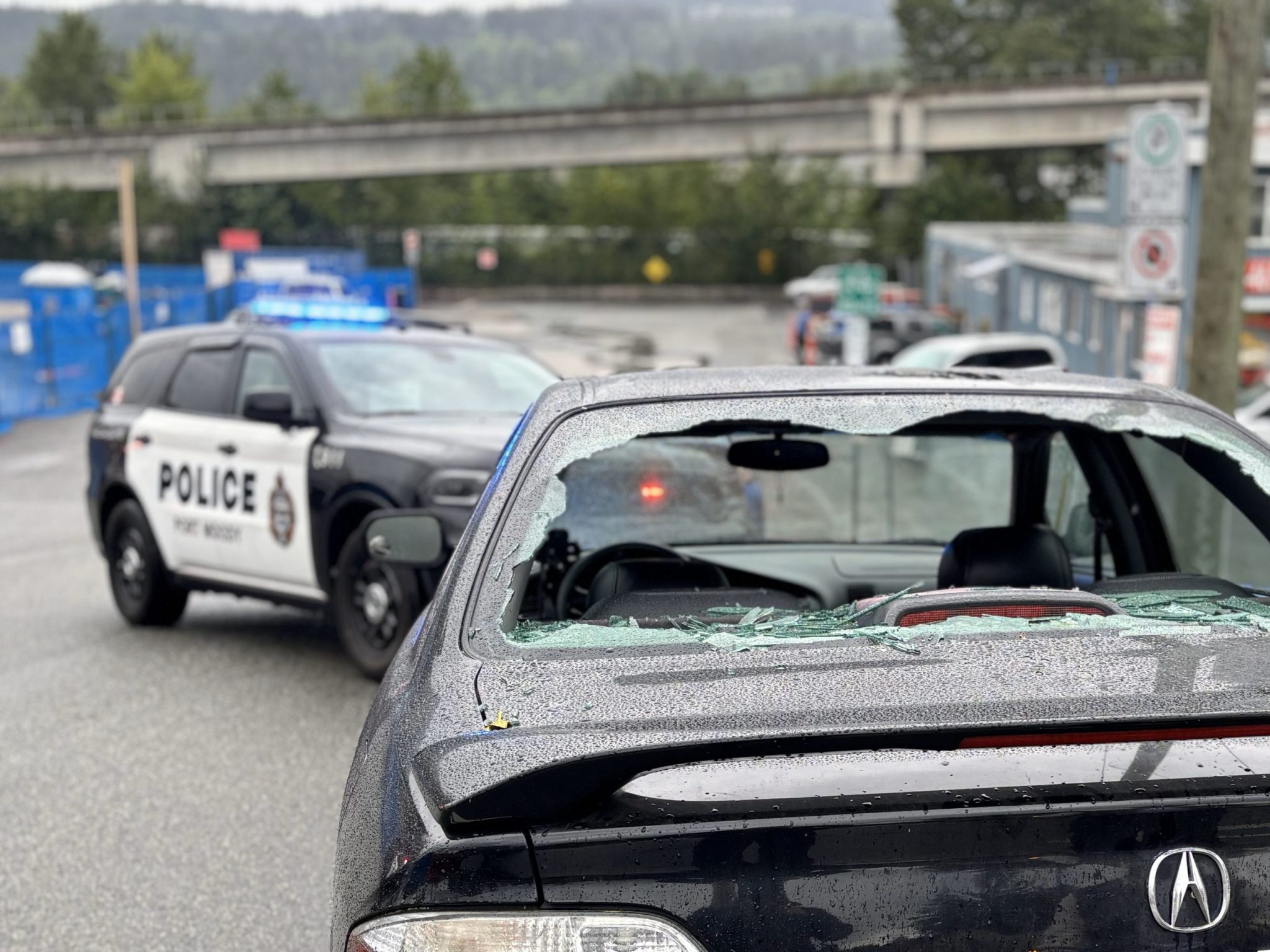 Langley RCMP lays charges against hit-and-run suspect