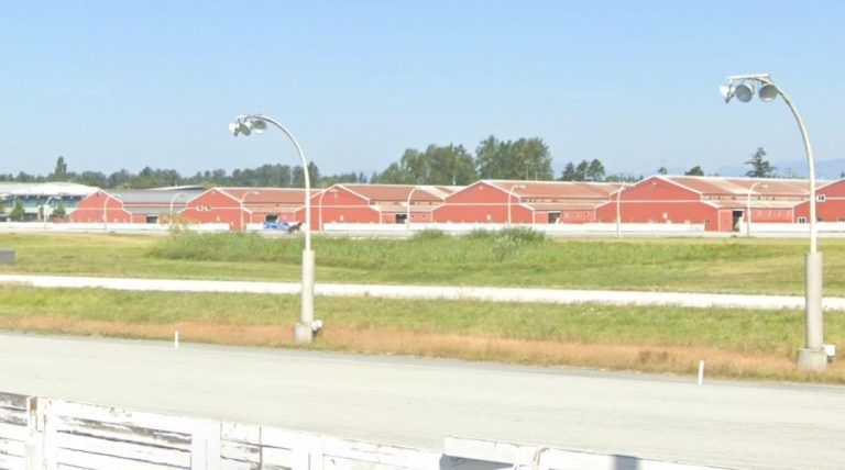 Rat problem at Surrey's Fraser Downs sparks legal battle between B.C ...
