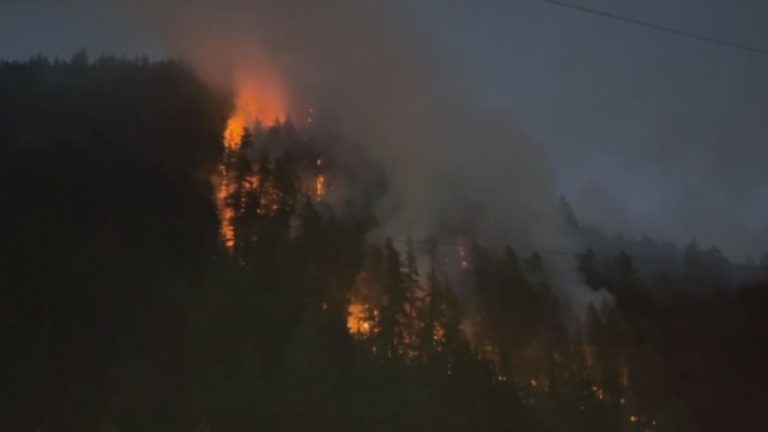 Wildfire erupts just north of Squamish, evacuation alert issued