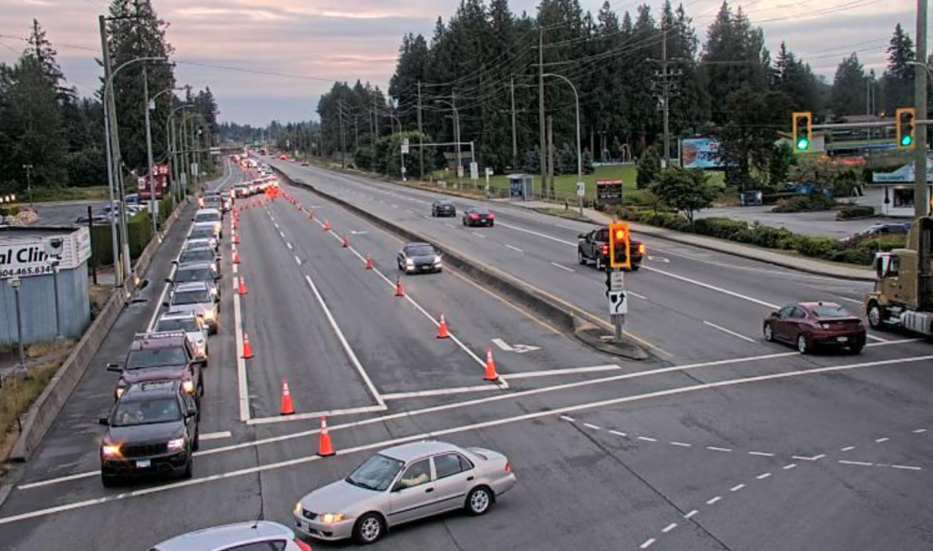 RCMP monitoring B.C. ostrich farm to ensure 'no criminal behaviour'