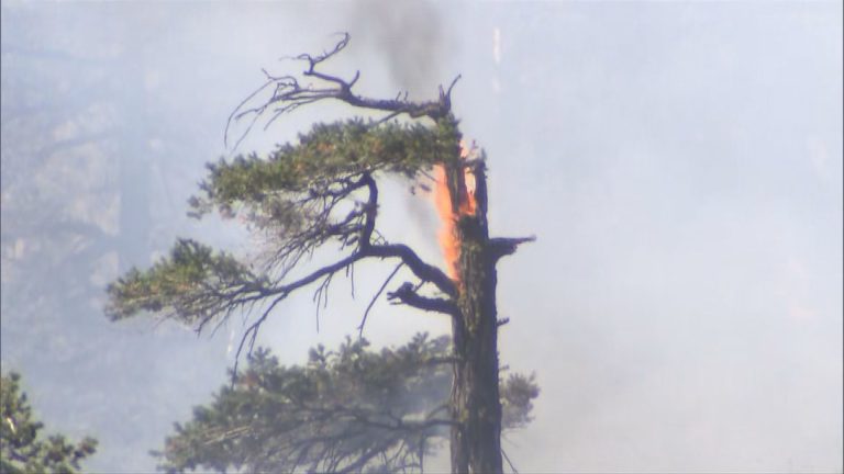 White Rock fire sends smoke, ash into neighbourhood